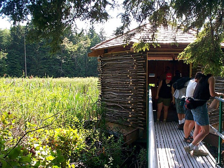 IslandWood, a School in the Woods - Berger PartnershipBerger Partnership