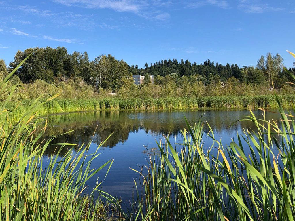 Totem Lake Park - Berger PartnershipBerger Partnership